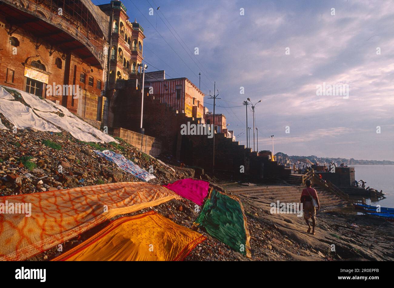 Drying saris at Ganges riverside, Varanasi, Benares, Uttar Pradesh ...