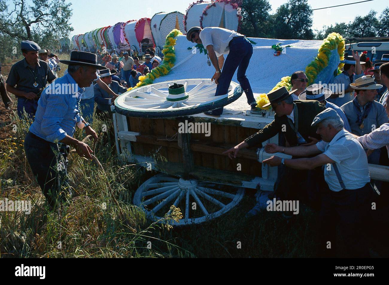 Ox Carriage, El Rocío, Pilgrimage Andalusia, Spain S.43 Stock Photo - Alamy