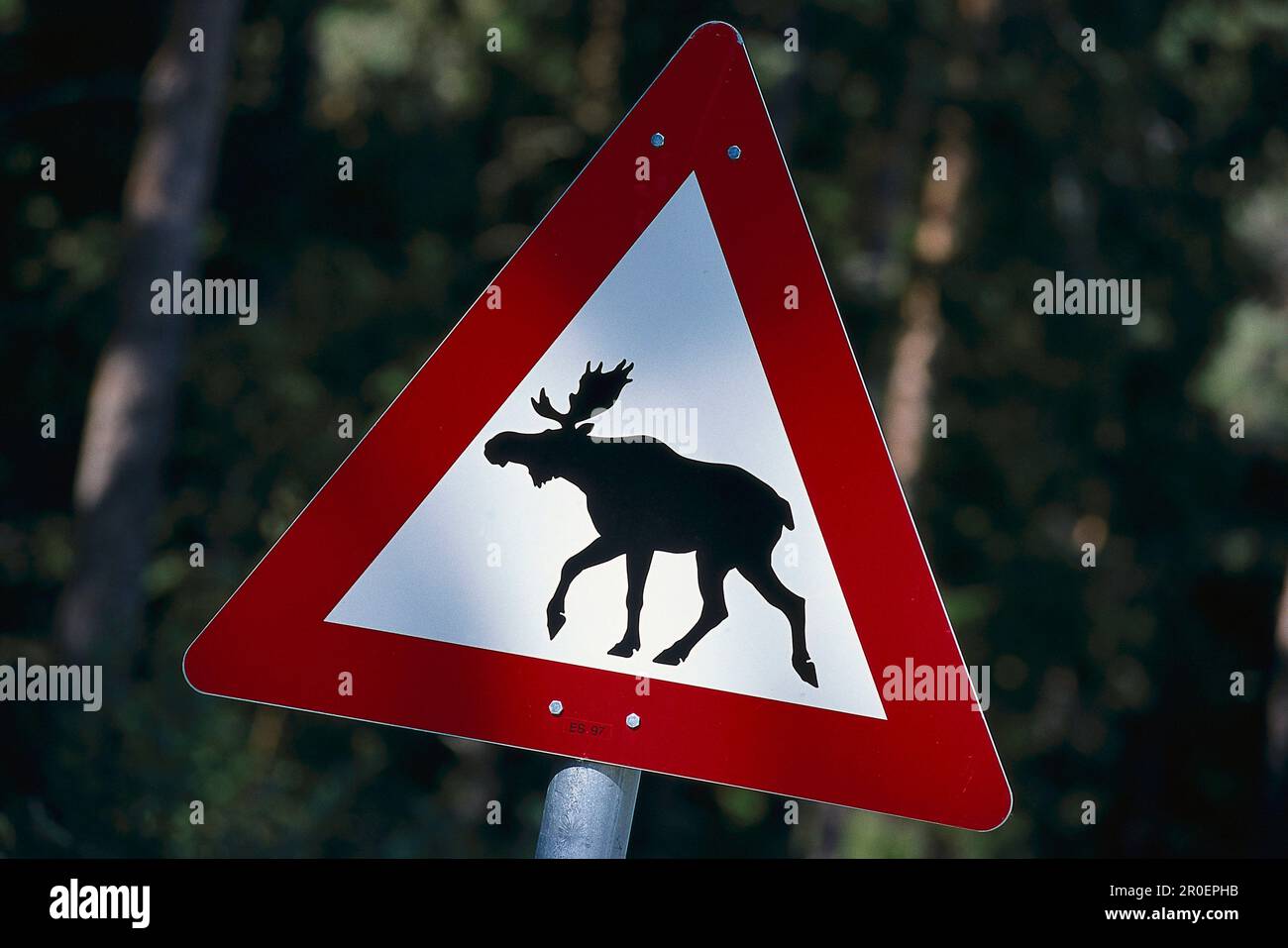 Road sign, Moose Traffic Sign, Norway Stock Photo - Alamy