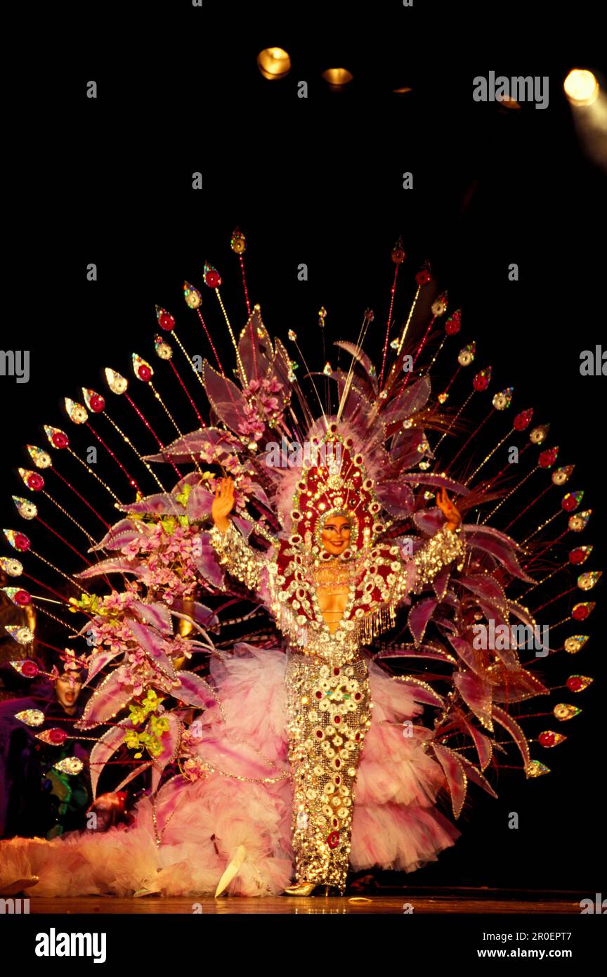 Gala zur Wahl der Karnevalskoenigin, Carnival Canary Islands, Spain ...