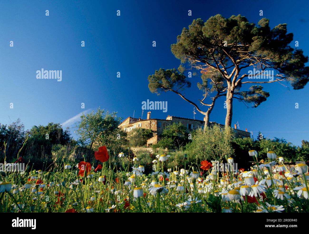 Murlo italy europe tuscany toscana hi-res stock photography and images ...