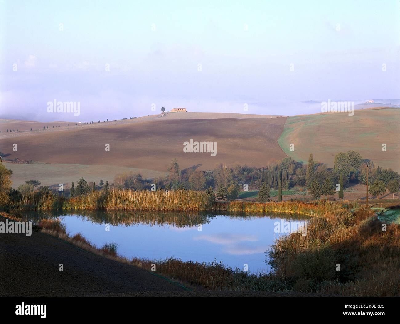Pond, Chianti-Tuscany, Tuscany, Italy Stock Photo - Alamy