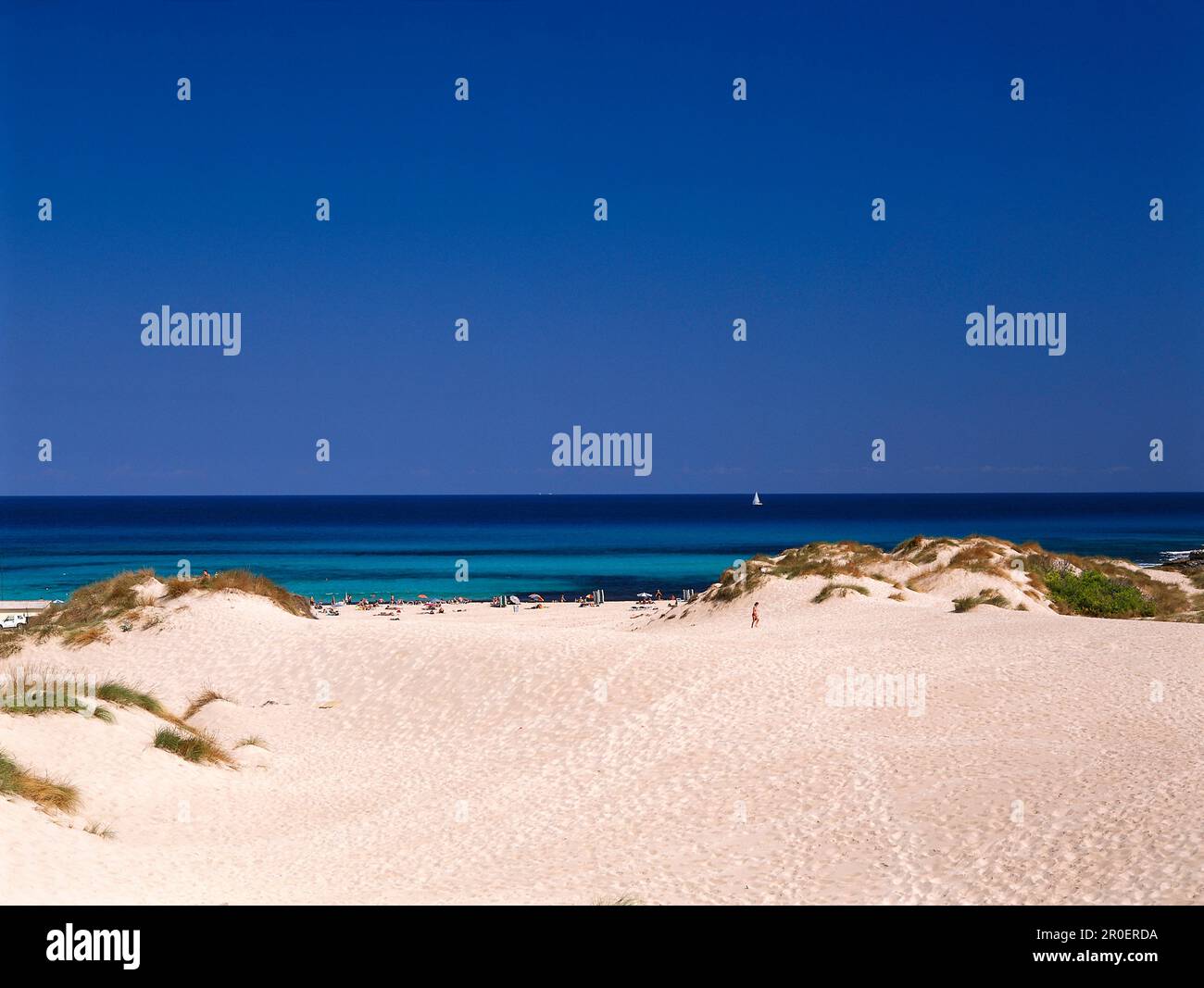 Sand dunes and sandy beach, Cala Mesquida, Majorca, Spain Stock Photo ...
