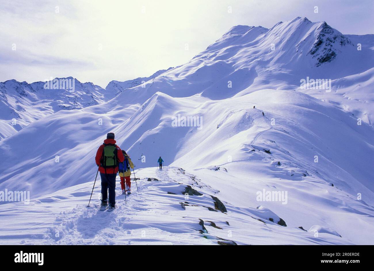 Group walking up slope, wearing snow shoes, Schellenberg, Stubai Alps ...