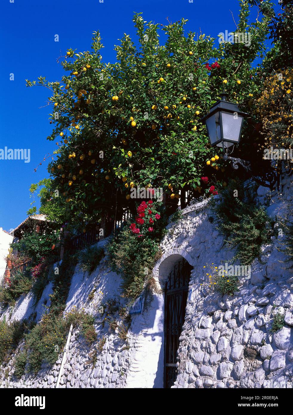 Lemon gate hi-res stock photography and images - Alamy