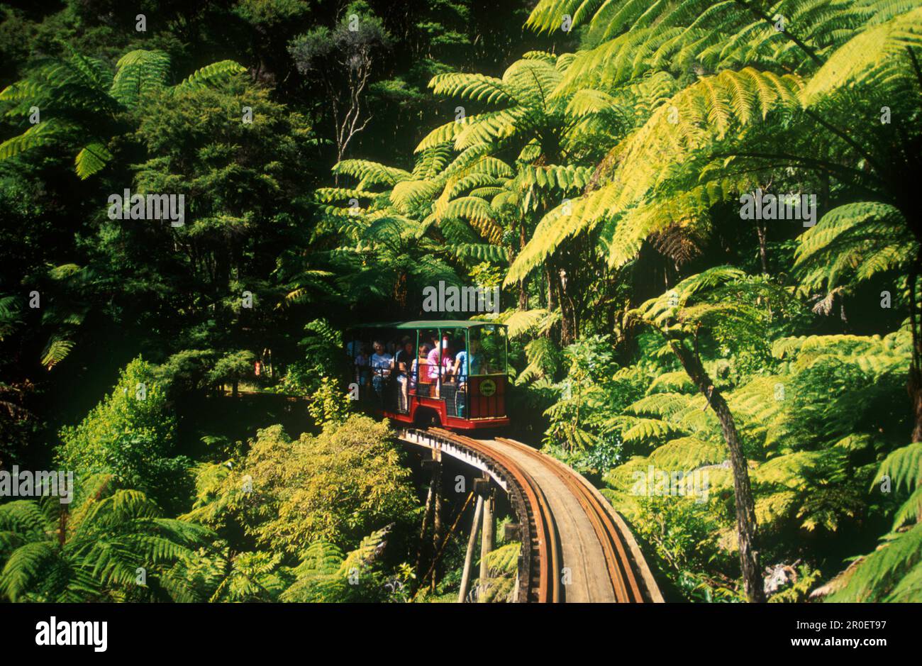 Diving Creek Railway, Coromandel, Nordinsel Neuseeland Stock Photo - Alamy