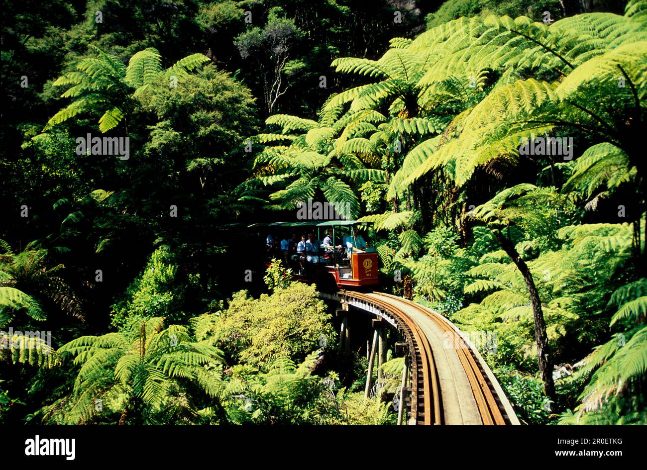 Eisenbahn, Driving Creek Railway, Coromandeln Nordinsel, Neuseeland ...