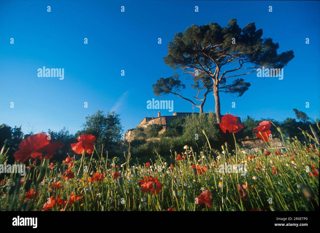 Murlo italy europe tuscany toscana hi-res stock photography and images ...