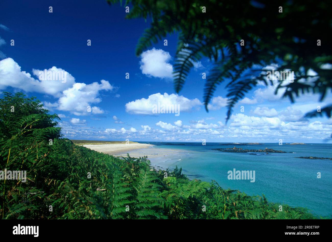 Shell beach herm island channel islands hi-res stock photography and ...