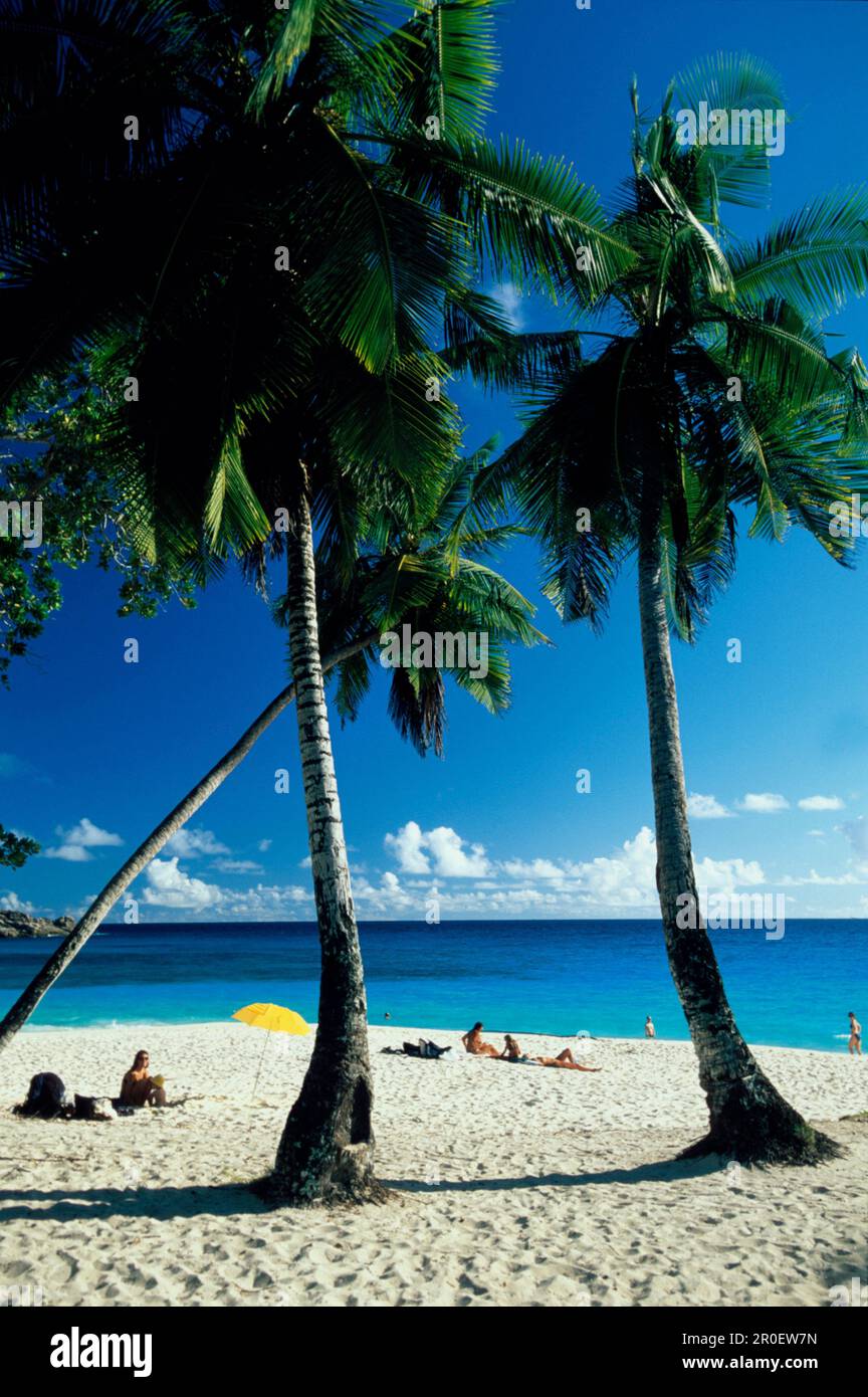 Strand, Anse Intendance, Mahe Seychellen Stock Photo - Alamy