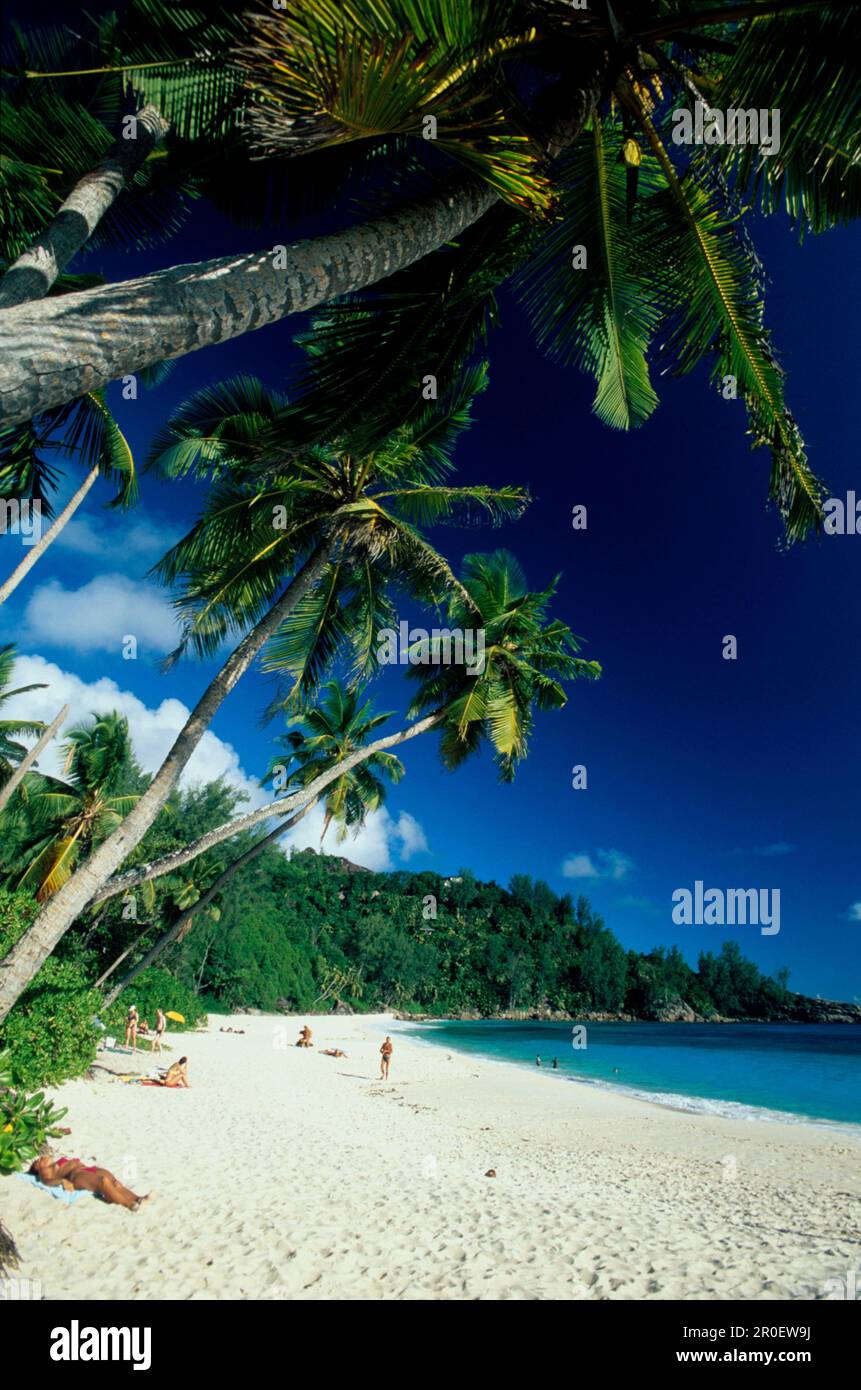 Strand, Anse Intendance, Mahe Seychellen Stock Photo - Alamy