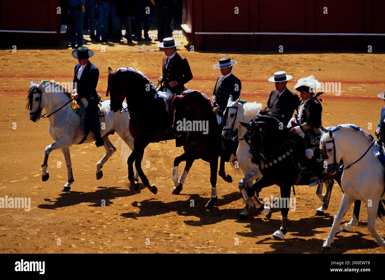 Stierkampf reiter hi-res stock photography and images - Alamy