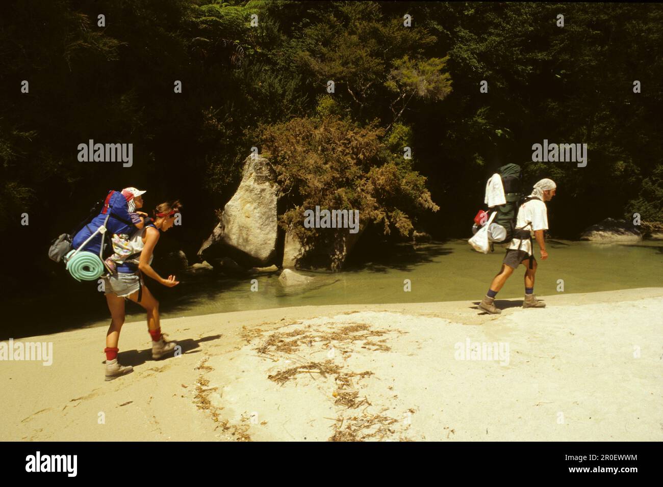 Trampers, Abel Tasman coastal walk, NZ, Backpacker family, trampers on ...