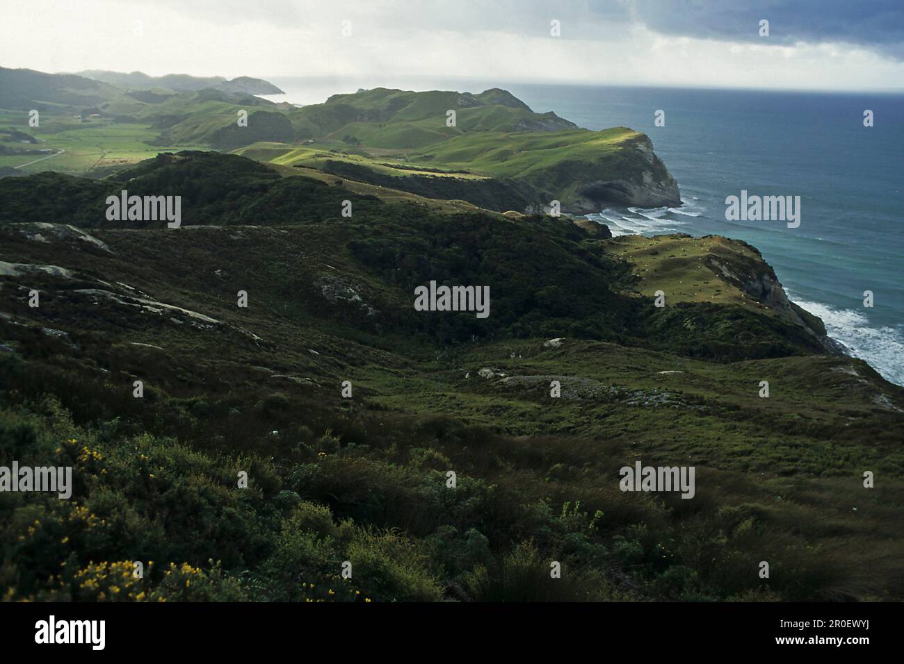 Cape Farewell, top of South Island, NZ, Cape Farewell northwestern end ...