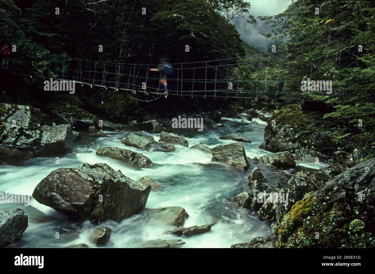 Periwinkle hiking trail hi-res stock photography and images - Alamy