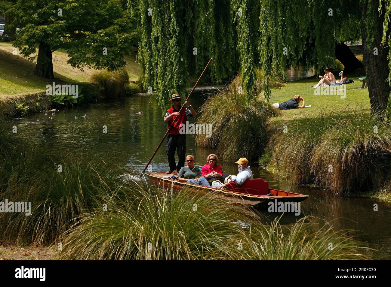 Punting on Avon River, Christchurch, Punt, boat for tourists in ...