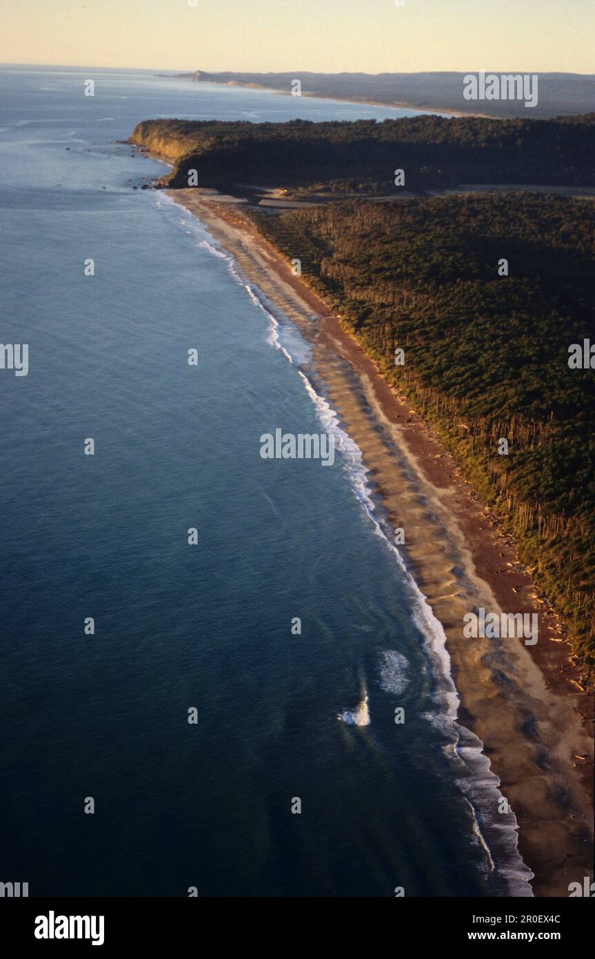 Aerial, West Coast, coastal forest, Luftaufnahme Abendlicht, Westkueste ...