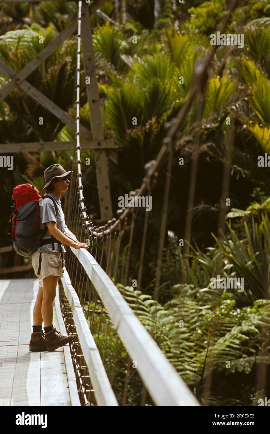 Hiker on ropebridge on Heaphy Track, Kahurangi National Park, South ...