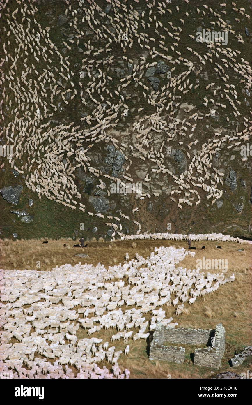 Muster 14 hi-res stock photography and images - Alamy