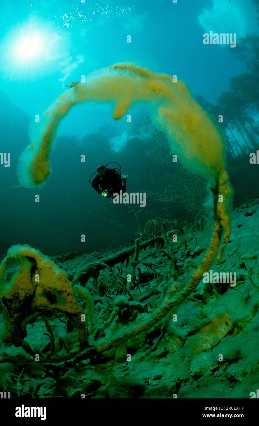 Gebirgs hi-res stock photography and images - Alamy