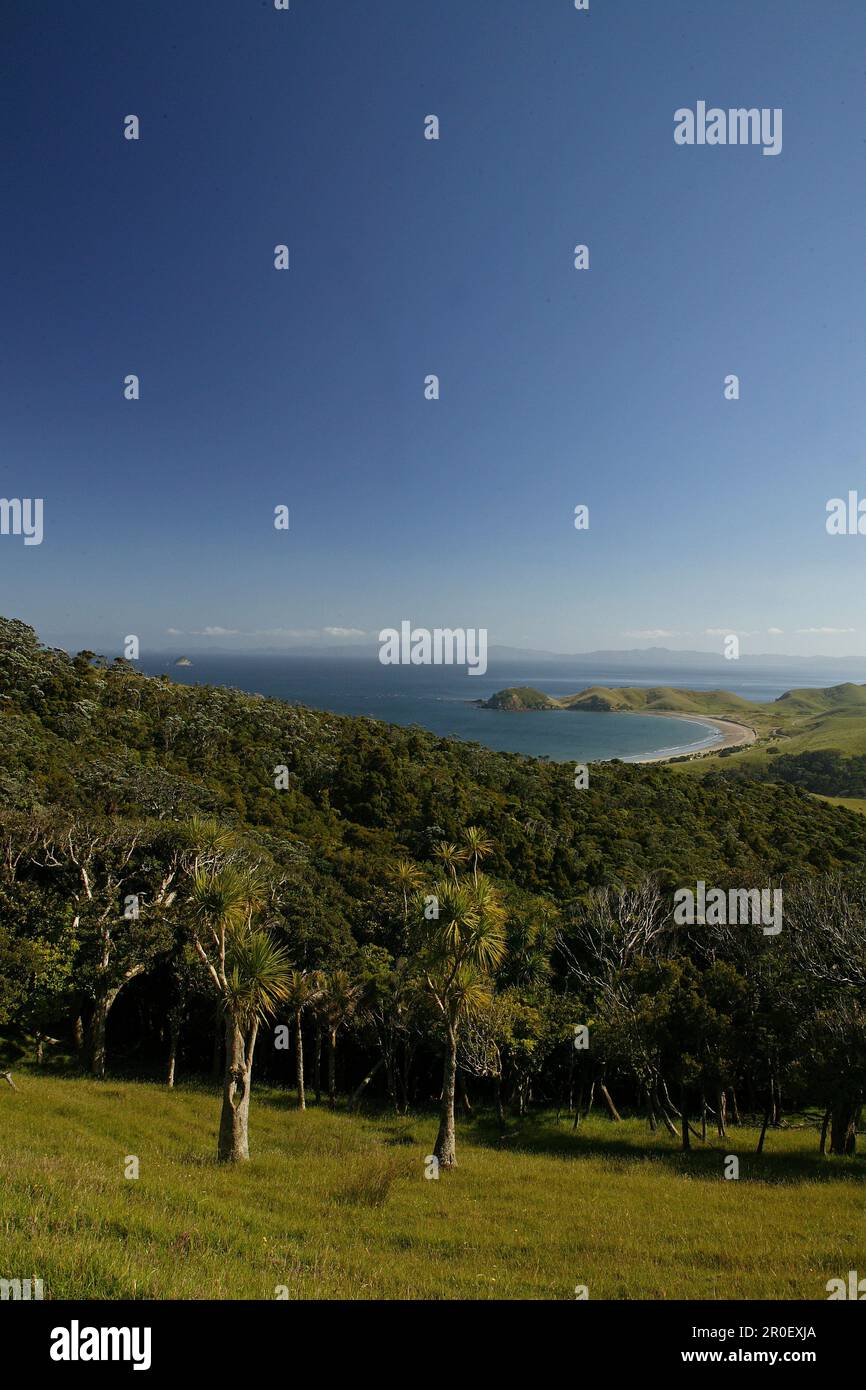 Landscape near Port Jackson, Cape Colville, Coromandel Peninsula, North ...