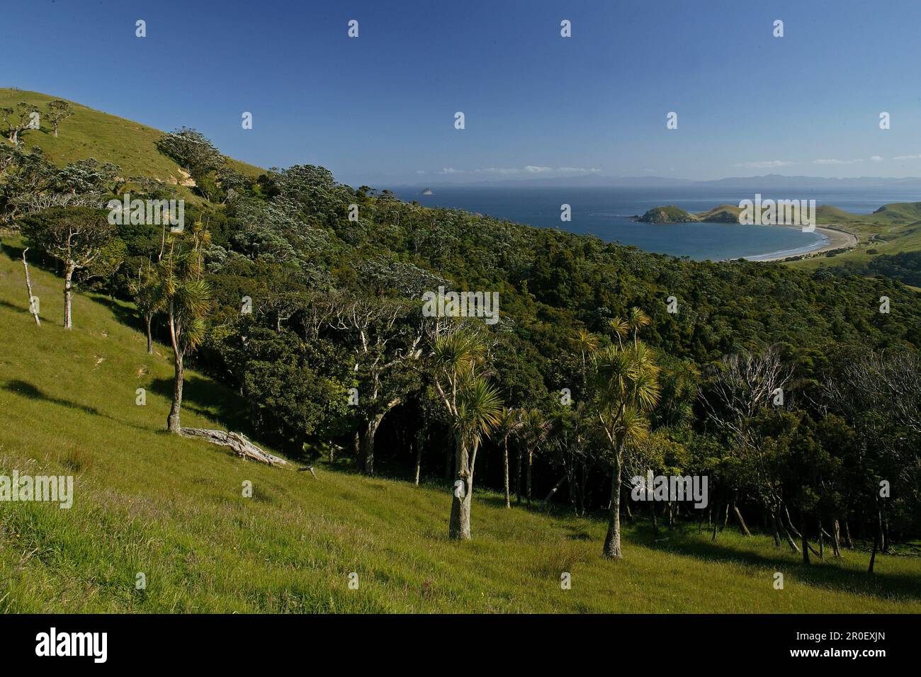 Port jackson new zealand hi-res stock photography and images - Alamy