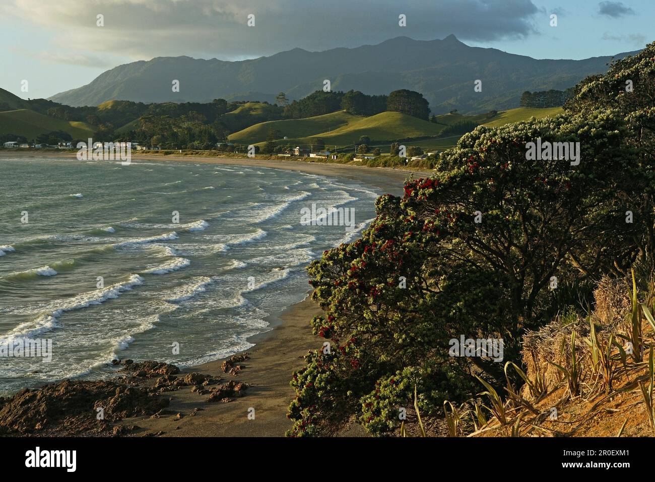 Mount moehau coromandel hi-res stock photography and images - Alamy
