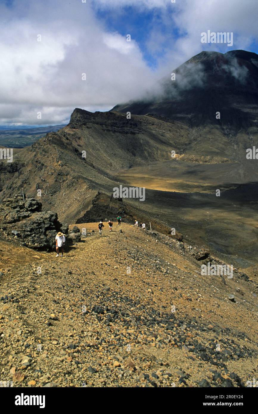 People on Tongariro Crossing walk in volcanic landscape, Tongariro ...