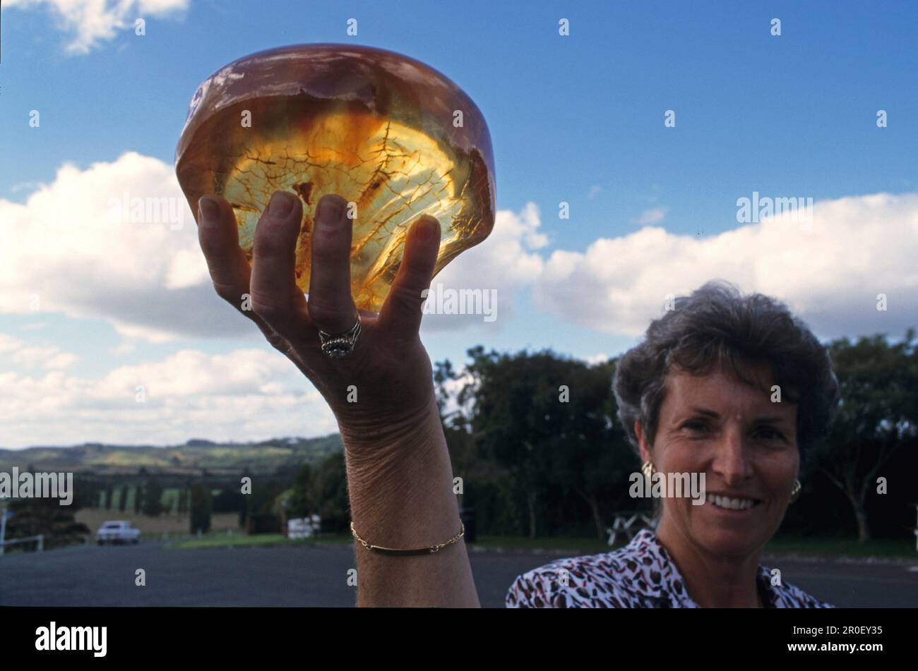 Kauri Museum, Matakohe, Kauri gum, in front of the Matakohe Museum in ...