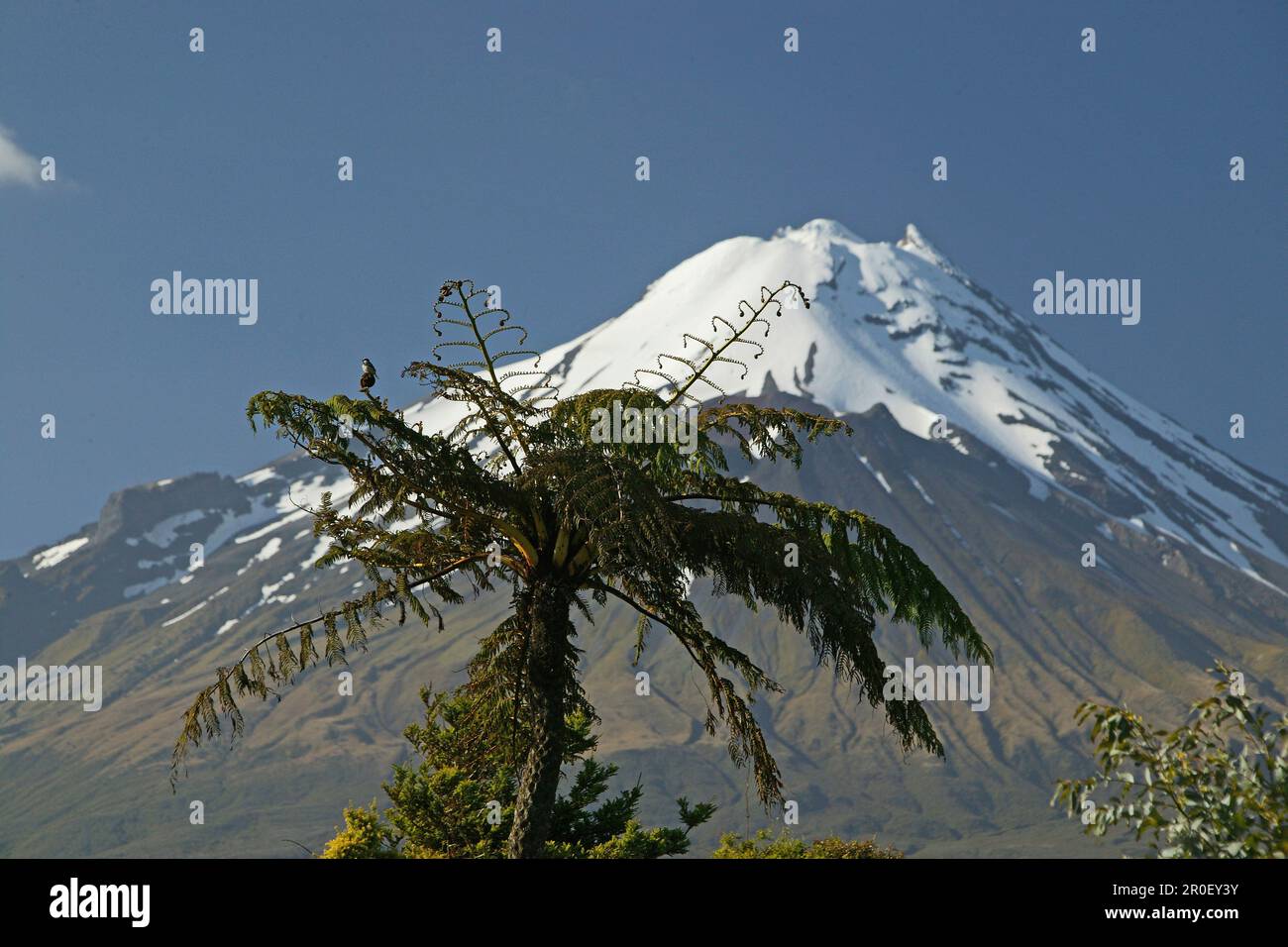 View of dormant volcano Mount Taranaki at Egmont National Park, North ...
