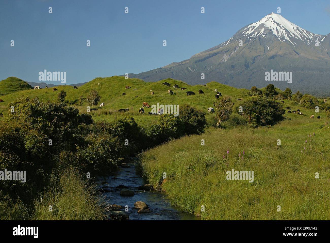 View of dormant volcano Mount Taranaki at Egmont National Park, North ...