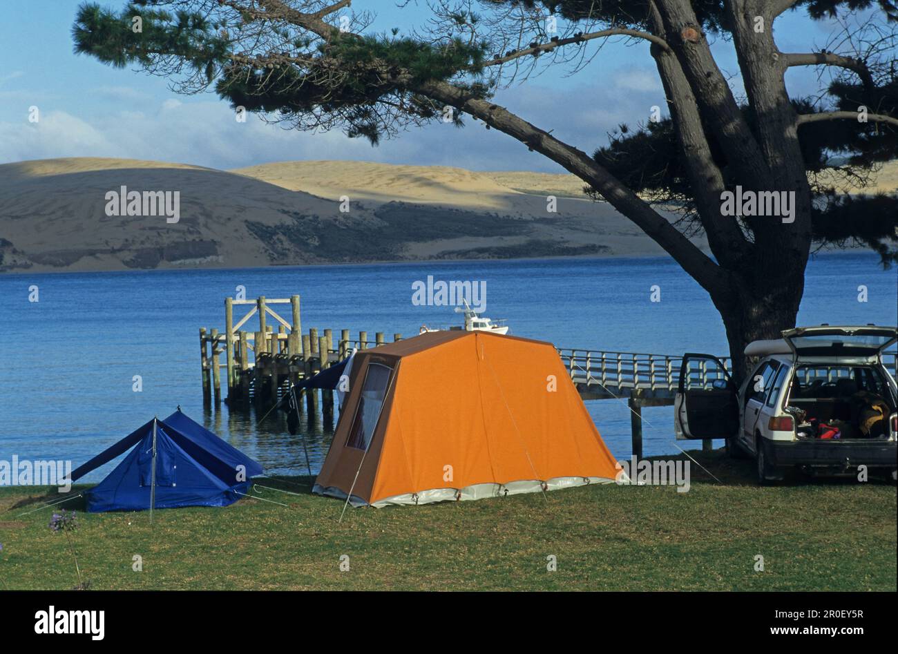 Tent, camping Omapere, Hokianga, idyllic campsite, banks of Hokianga ...