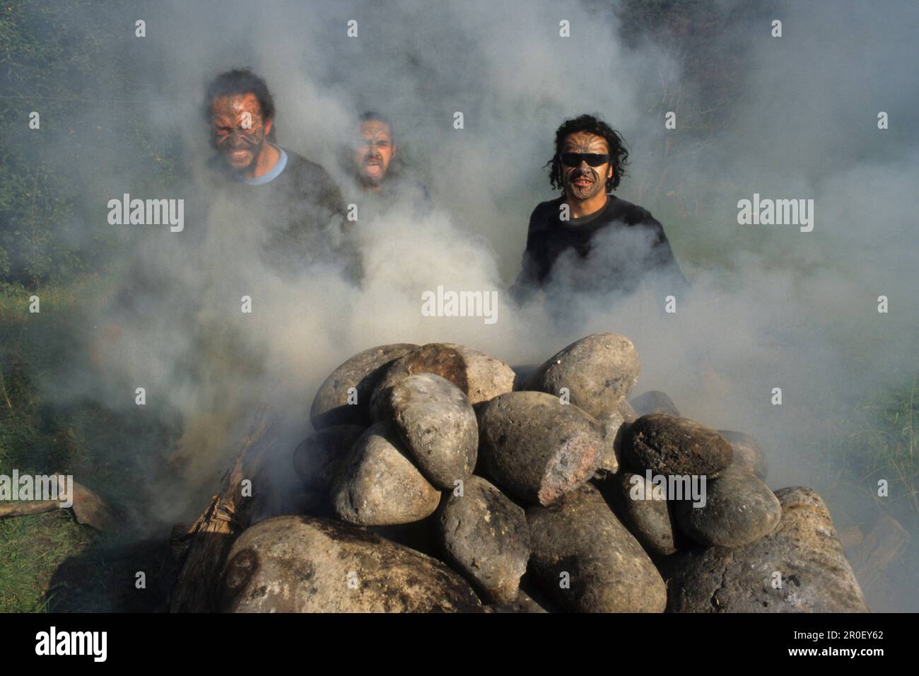 Maori hangi, earth oven East Cape, Maoris with moko tattoo, making an ...