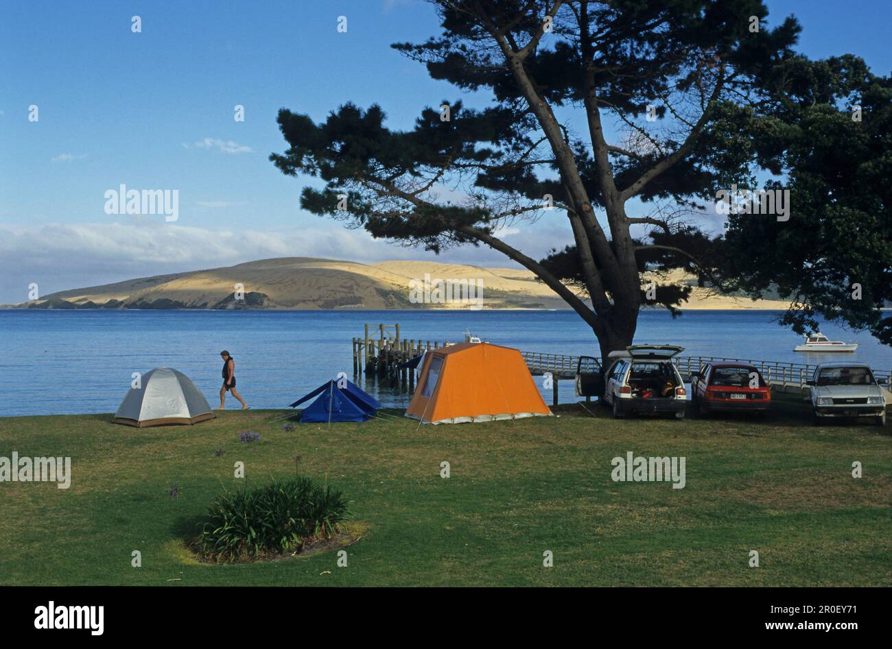 Tent, camping Omapere, Hokianga, idyllic campsite, banks of Hokianga ...