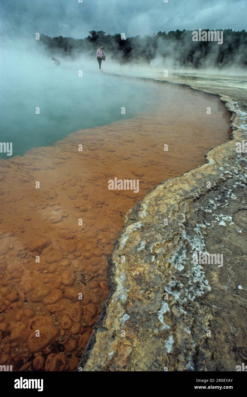 Champagne Pool, boiling sulphurous pool in crater lake, geothermal ...