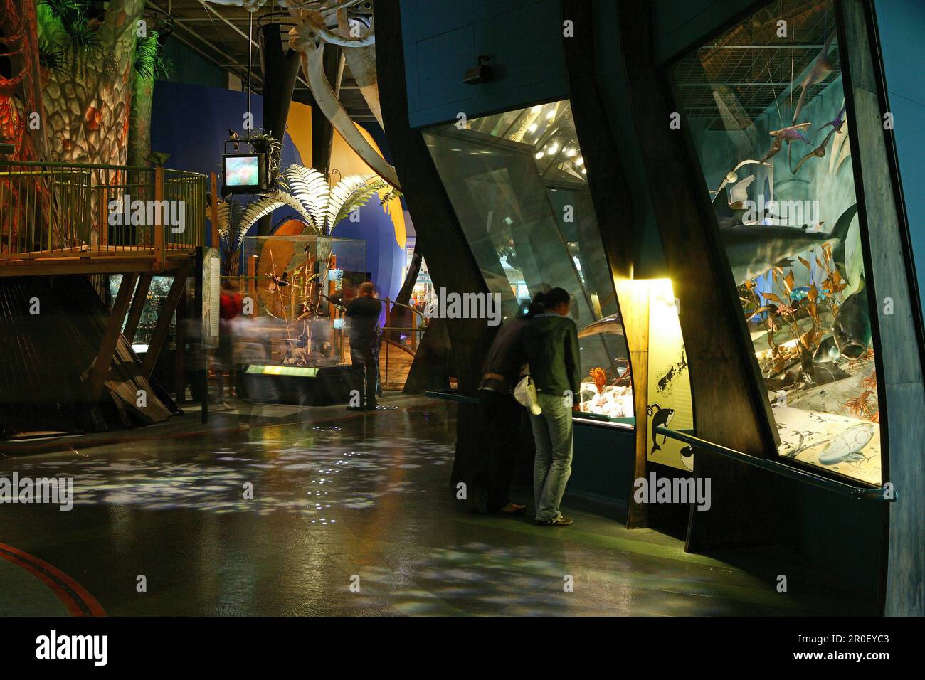 Te Papa Tongarewa, Te Papa (the place of treasures of this land in ...