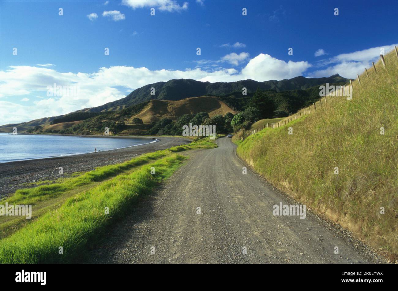 Road Colville, Port Jackson, Coromandel Peninsula, Nordinsel Neuseeland ...