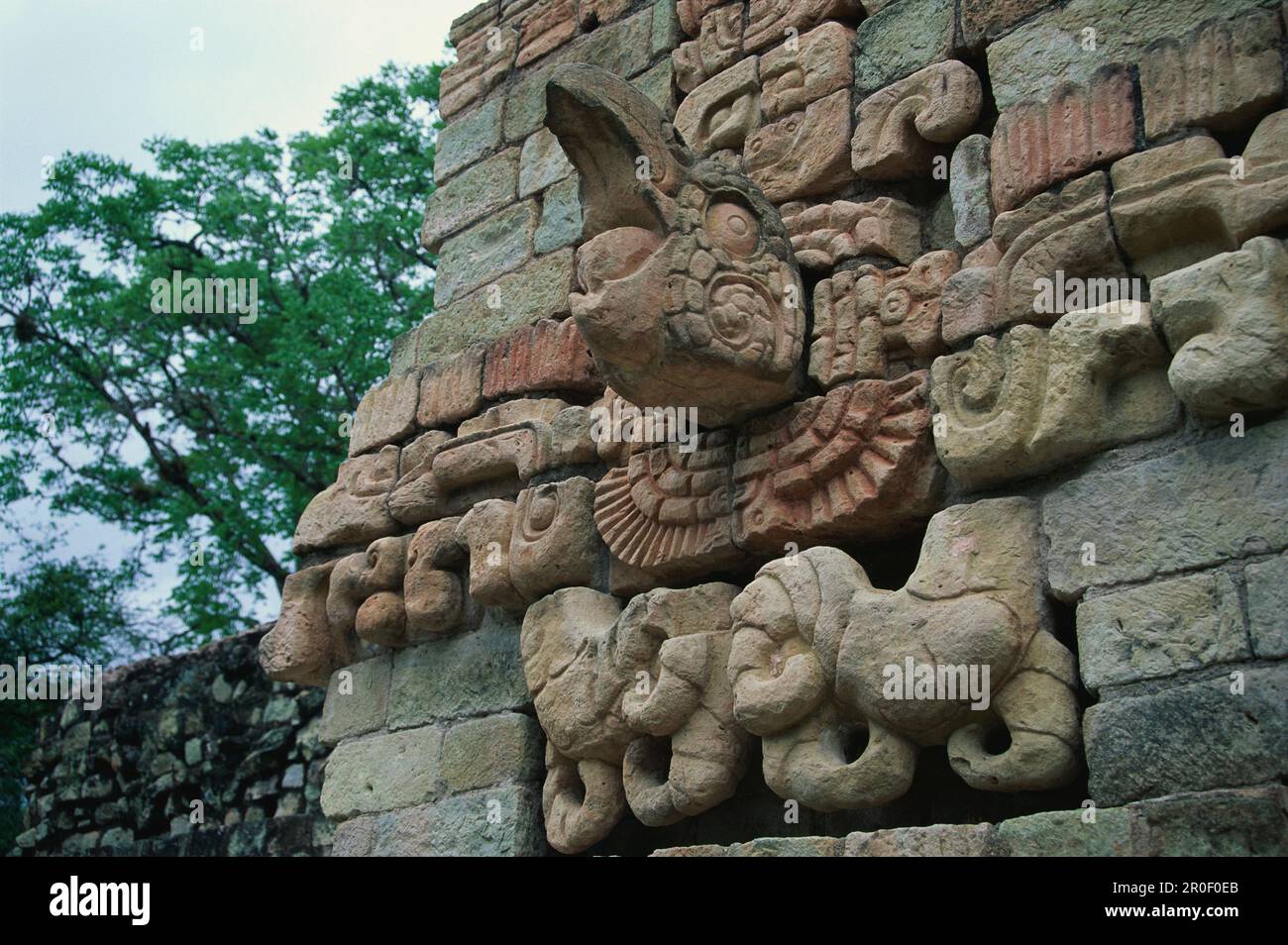 Maya ruins of Copán, Ballcourt, Principal Group, Honduras, Central ...