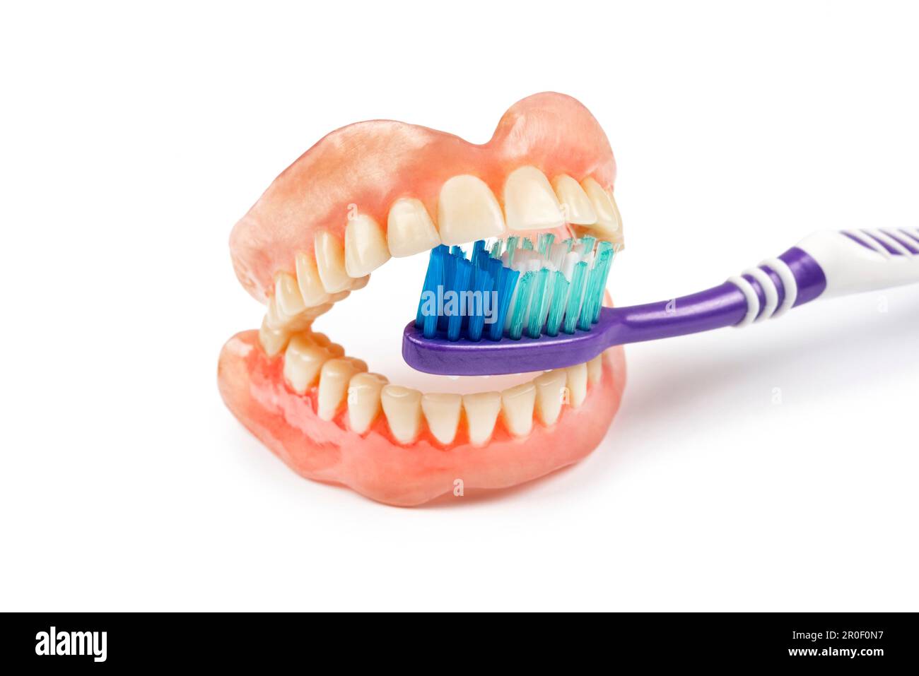 Dentures with toothbrush on white background. Medical denture Stock ...