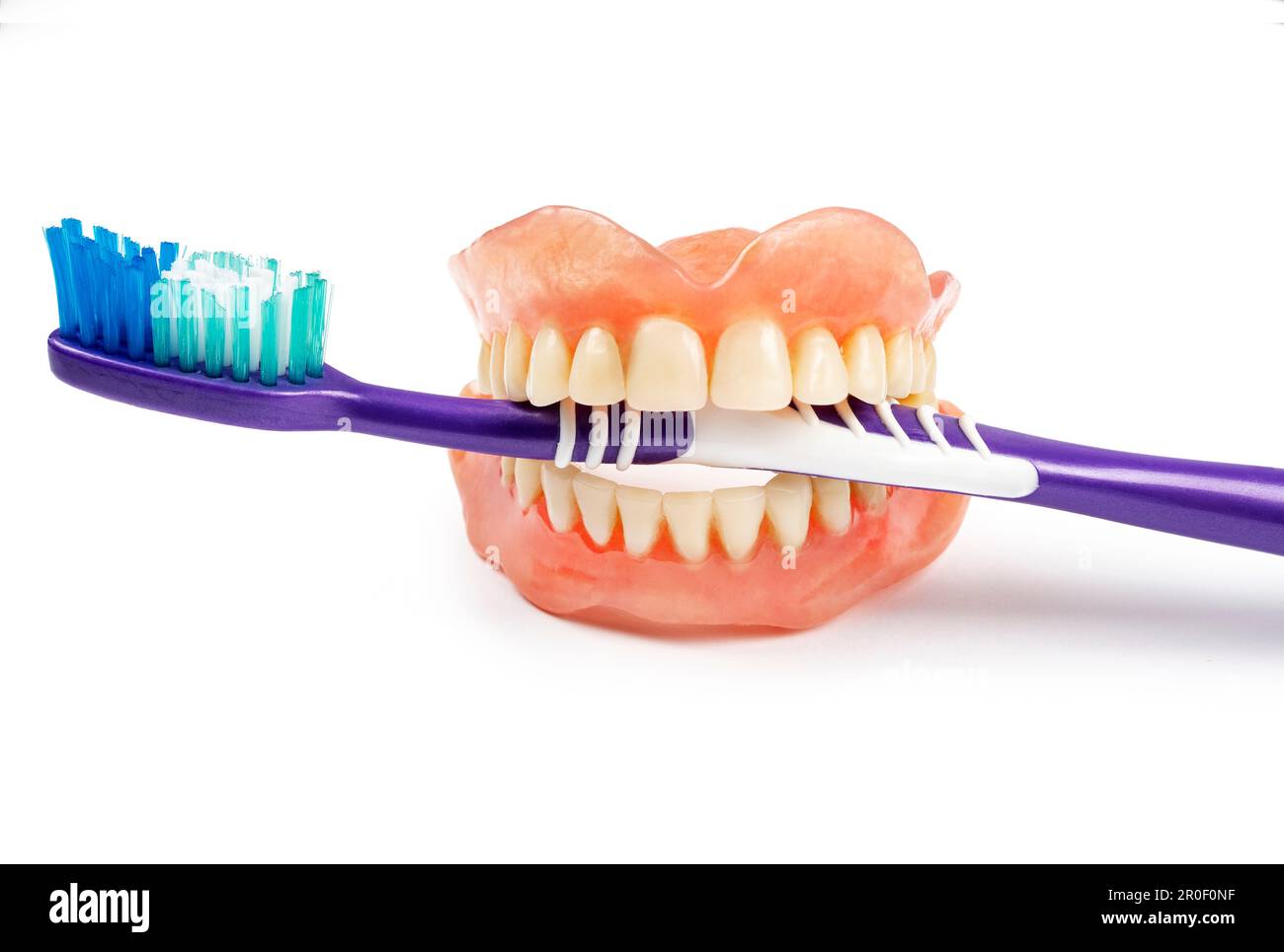 Dentures with toothbrush on white background. Medical denture Stock ...