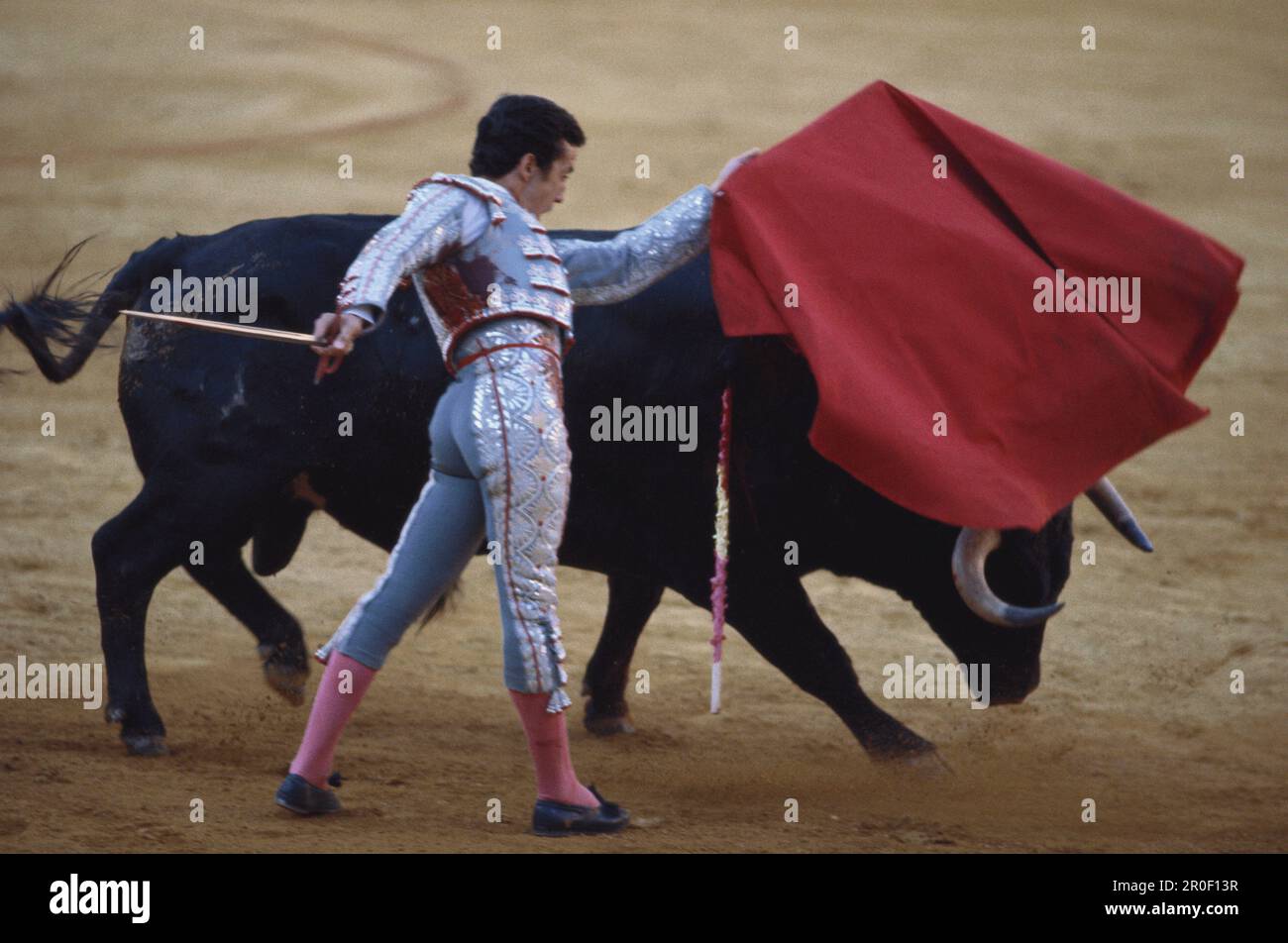 Stierkampf, Sevilla Andalusien, Spanien Stock Photo - Alamy