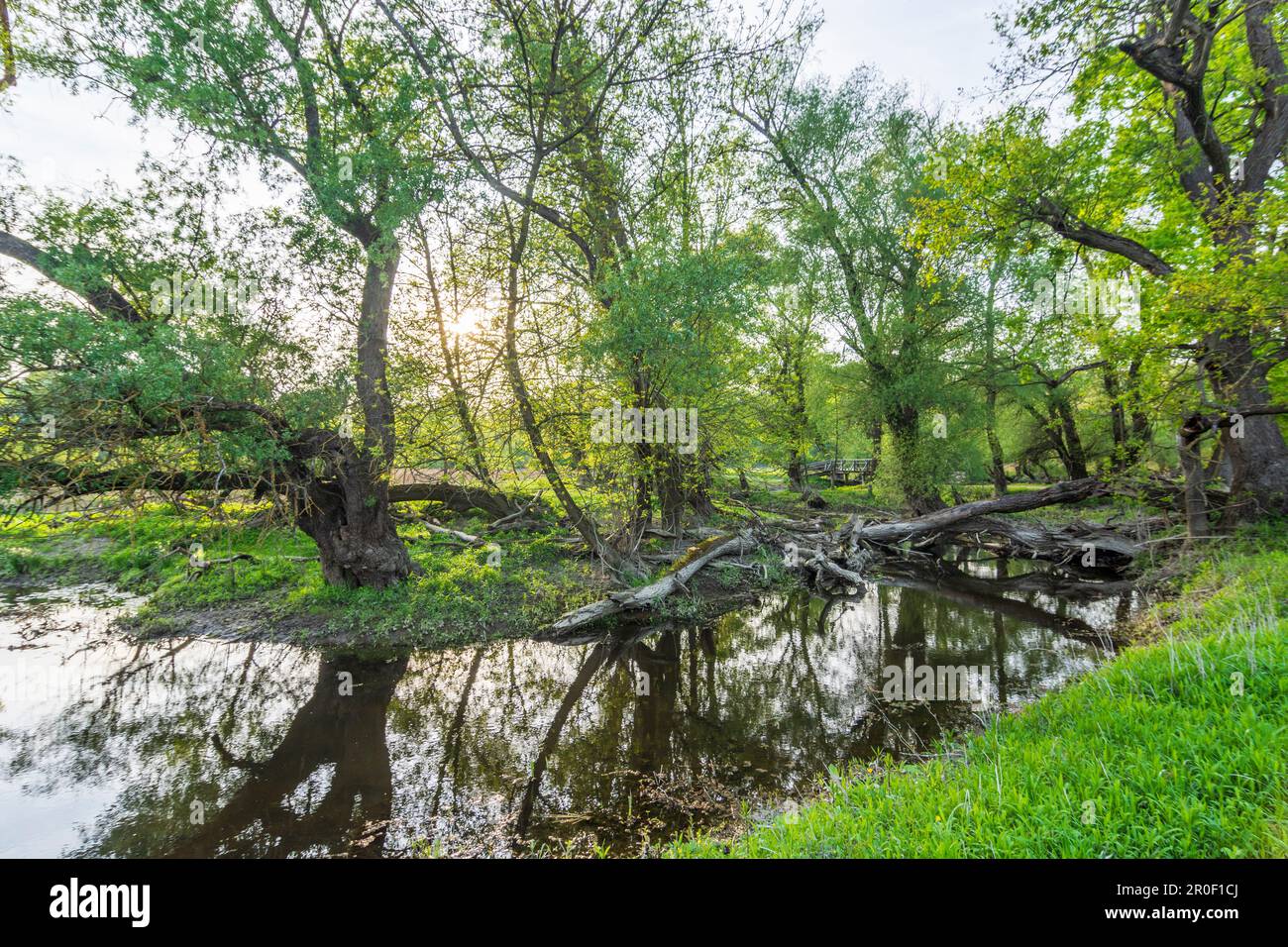 Europaschutzgebiete hi-res stock photography and images - Alamy