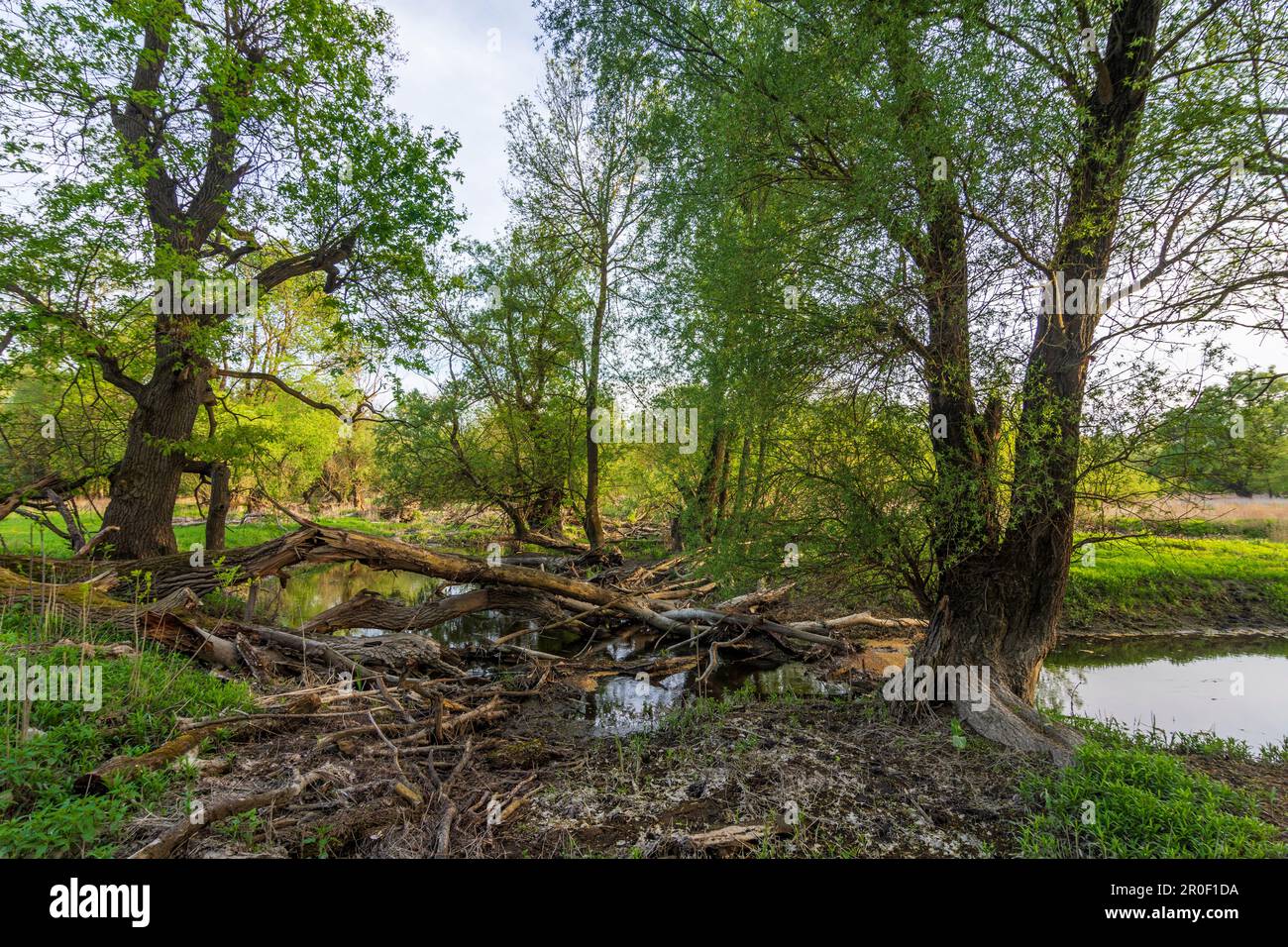 Oxbow lake in weinviertel hi-res stock photography and images - Alamy