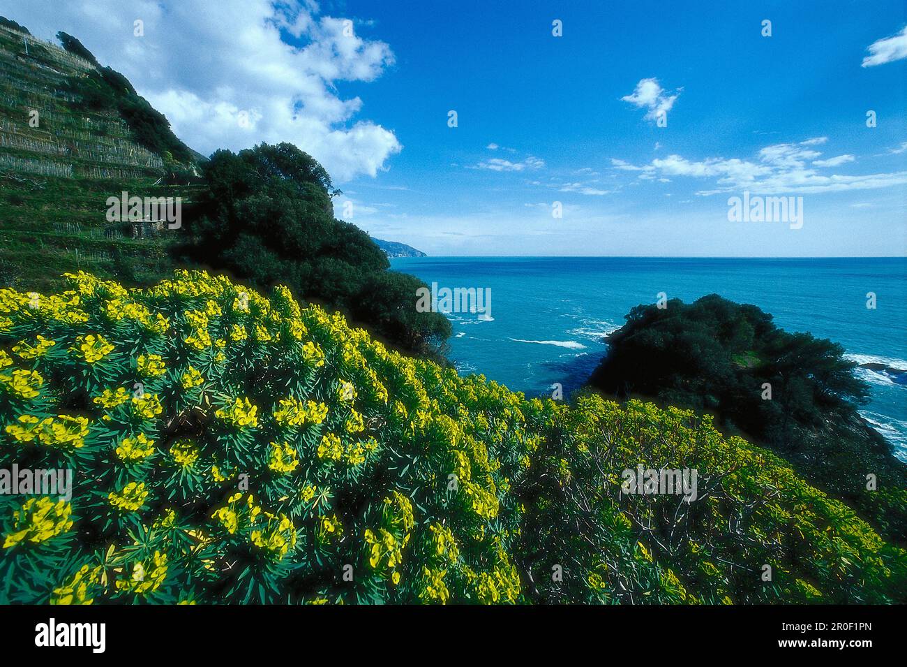 Coast area under clouded sky, Cinque Terre, Liguria, Italy, Europe ...