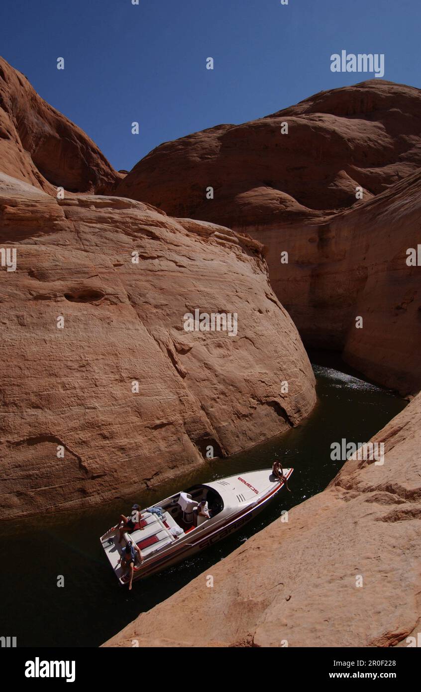 Speedboat, Lake Powell, Secret Canyon Utah-Arizona-USA Stock Photo - Alamy