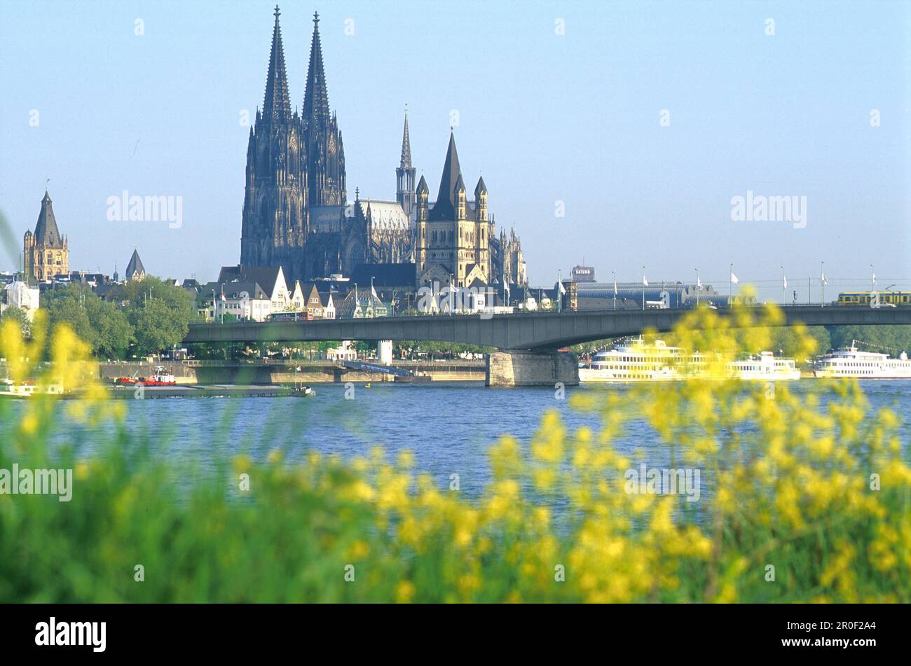 View at Cologne Cathedral and Deutzer bridge at the river Rhine ...