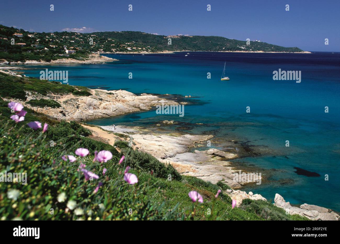 Beach and coastal landscape at Plage de l´Escale, Cote d´Azur, Provence ...