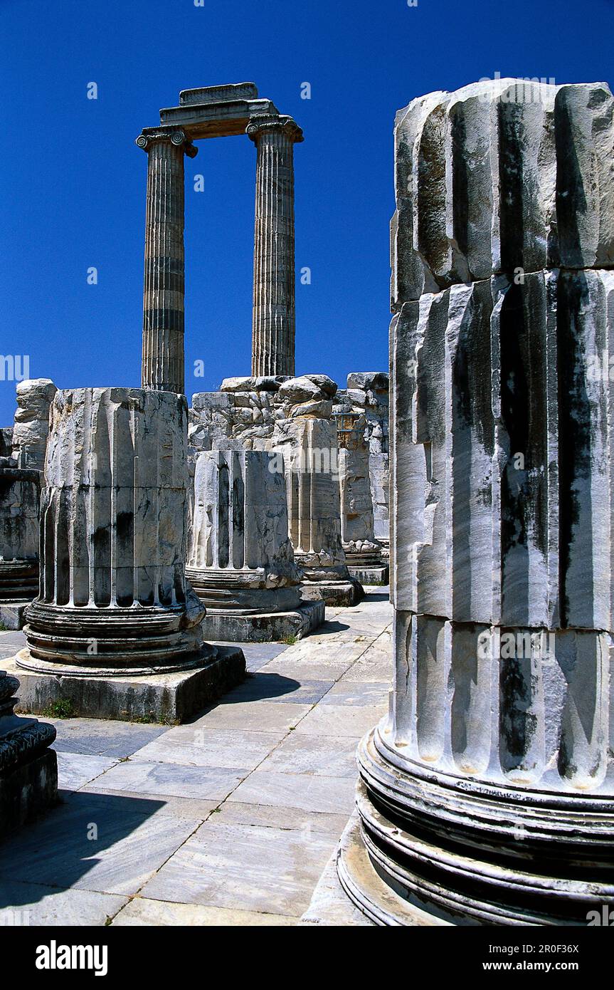 Temple of Apollo in the ancient city of Didyma, significant sanctuary ...