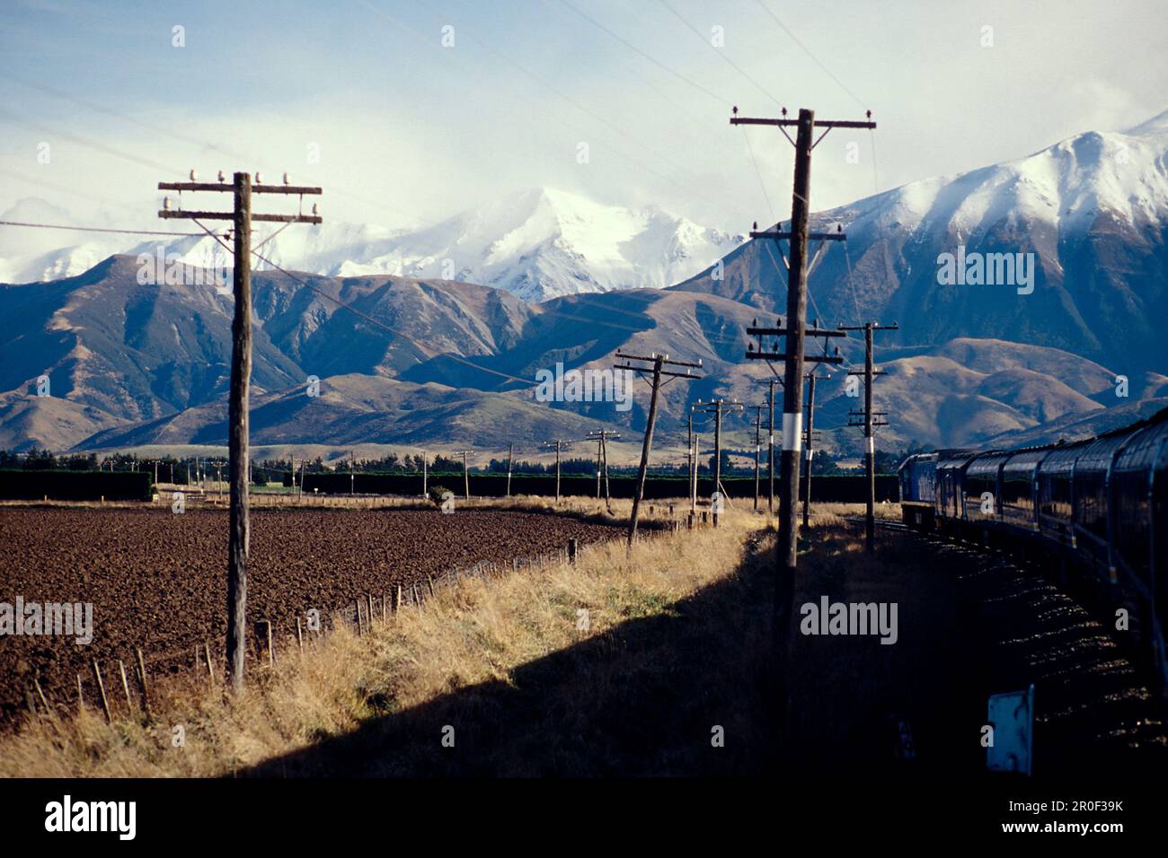 Transalpine train new zealand hi-res stock photography and images - Alamy