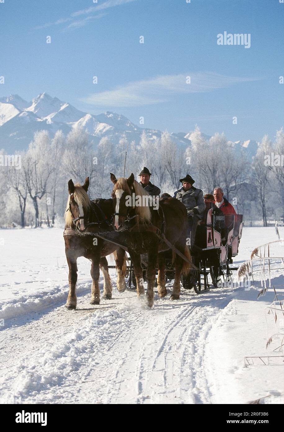 Sleigh on snow covered road in the sunlight Stock Photo - Alamy